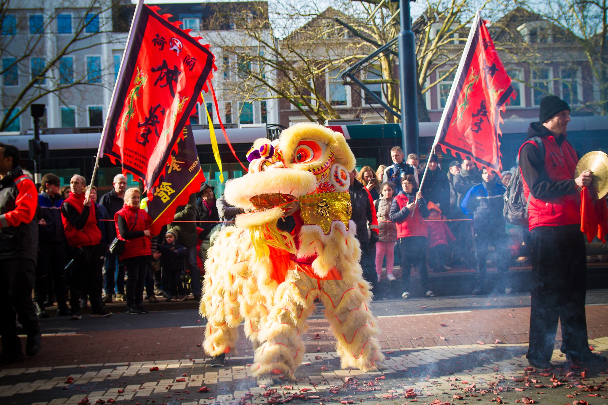 Why Is Rotterdam Still Celebrating Chinese New Year? - RADII